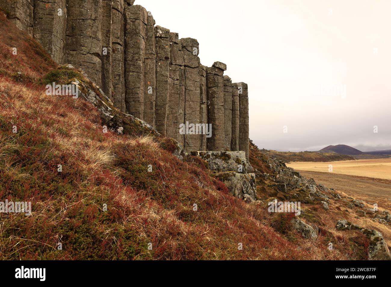 Gerðuberg is a cliff of dolerite, a coarse-grained basalt rock, located ...