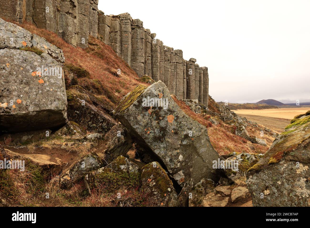 Gerðuberg is a cliff of dolerite, a coarse-grained basalt rock, located ...