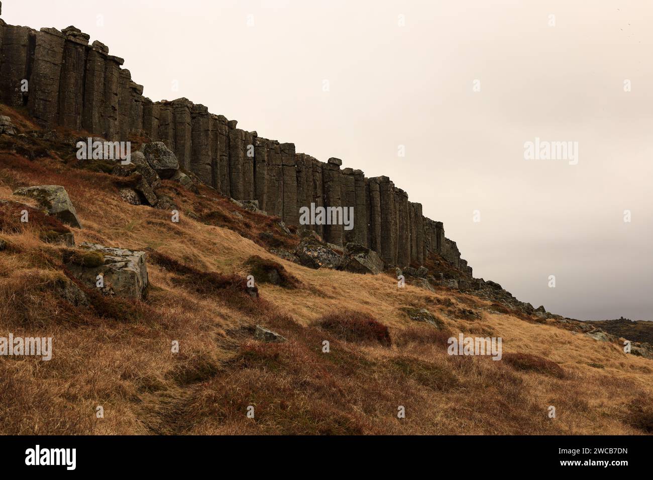 Gerðuberg is a cliff of dolerite, a coarse-grained basalt rock, located ...