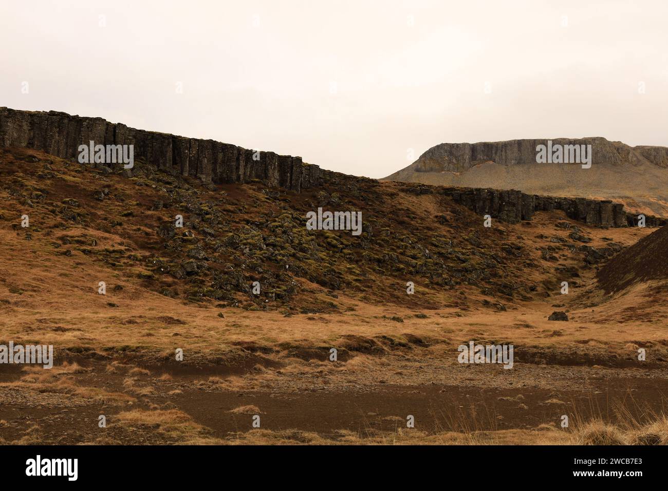 Gerðuberg is a cliff of dolerite, a coarse-grained basalt rock, located ...