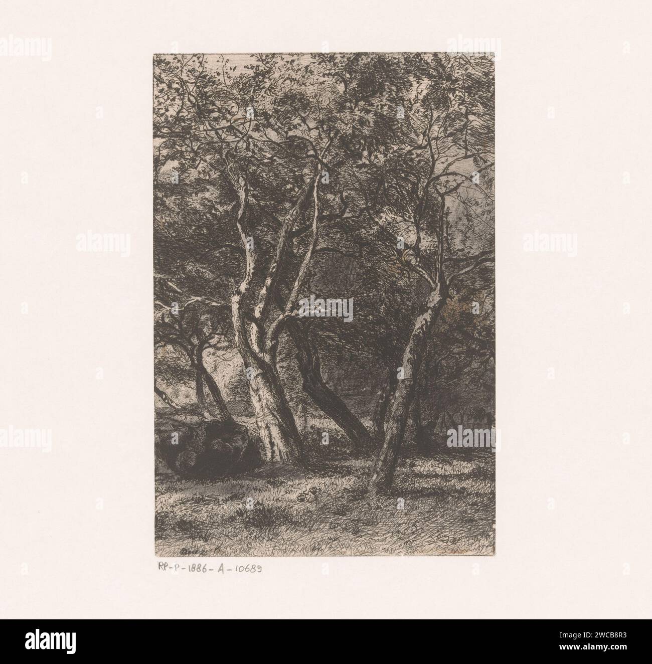 Forest face with sleeping cows, Narcisse Virgile Diaz de la Peña, 1818 ...