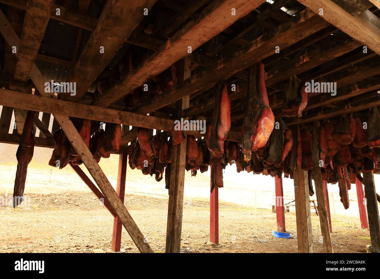 The Shark Museum at Bjarnarhofn farm on the northern side of ...