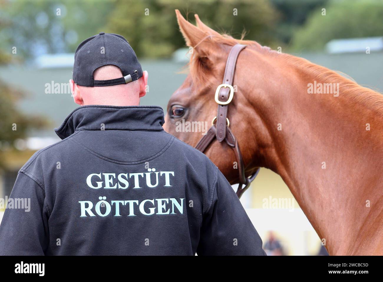 01.09.2023, Iffezheim, Baden-Wuerttemberg, GER - Schriftzug Gestuet ...