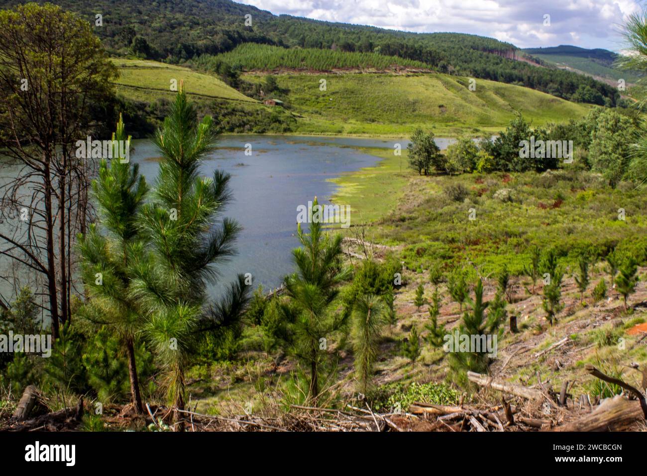 Dap naude dam hi-res stock photography and images - Alamy