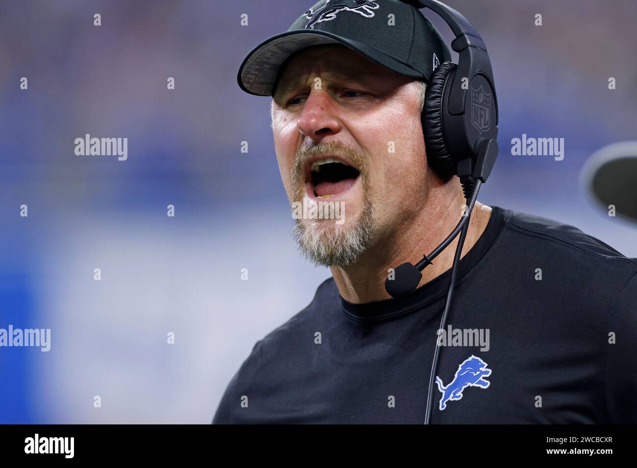Dan campbell reacts hi-res stock photography and images - Alamy