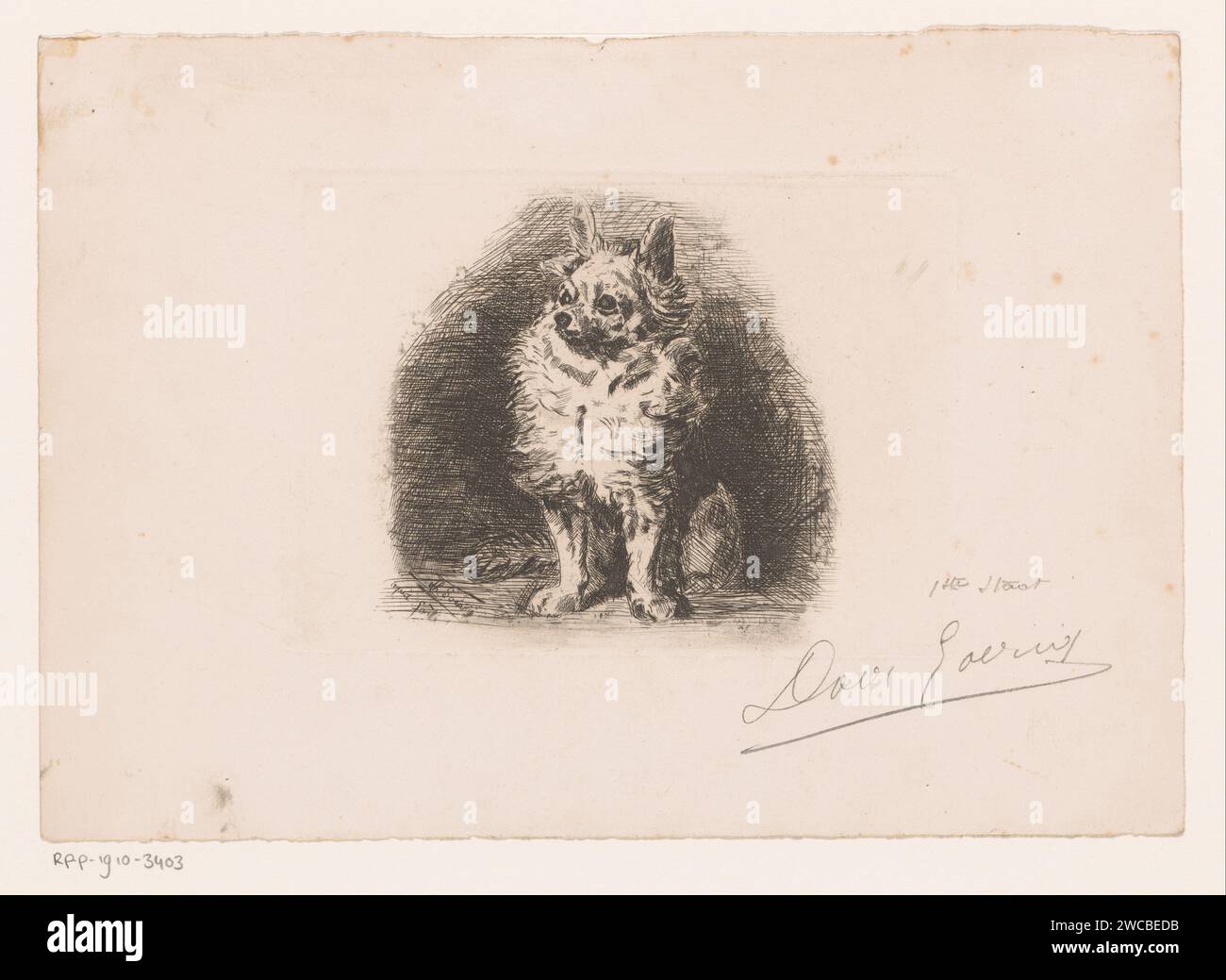 Dog, David Gourig, 1850 - 1899 print paper etching dog Stock Photo - Alamy