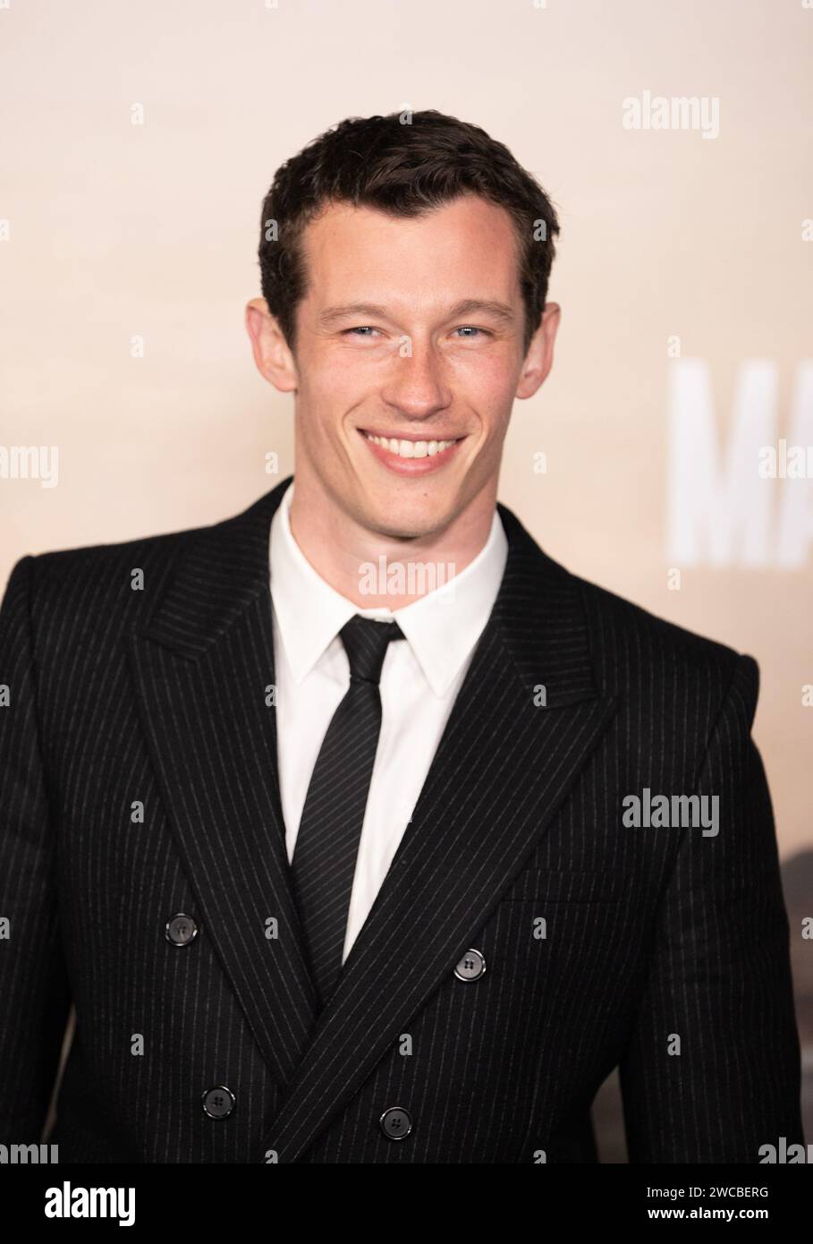 Arrivals for Los Angeles World Premiere of Apple TV+ Series 'Masters of ...