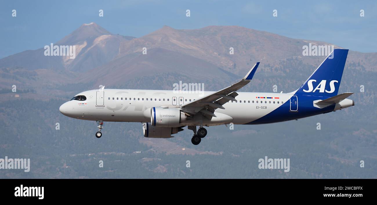 Tenerife, Spain January 13 st, 2024. Airbus A320-251N SAS Airlines ...