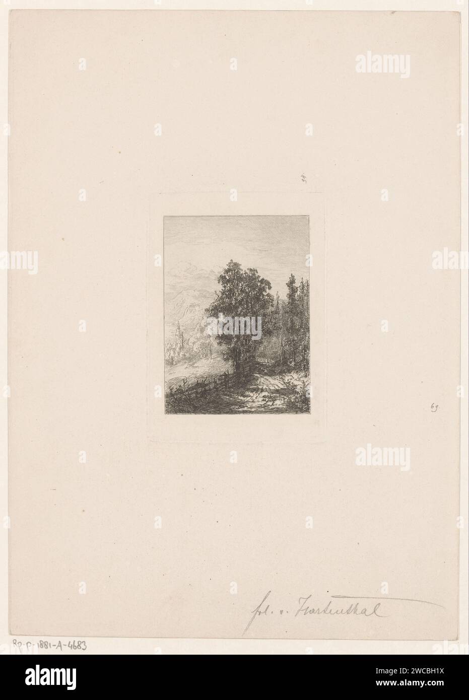 Mountain landscape with forest path, Mathilde von Hartthal, 1853 - 1881 print paper etching road ...