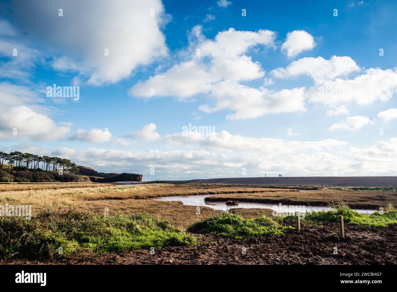 lower Otter River Restoration Project. Otter Head Stock Photo - Alamy