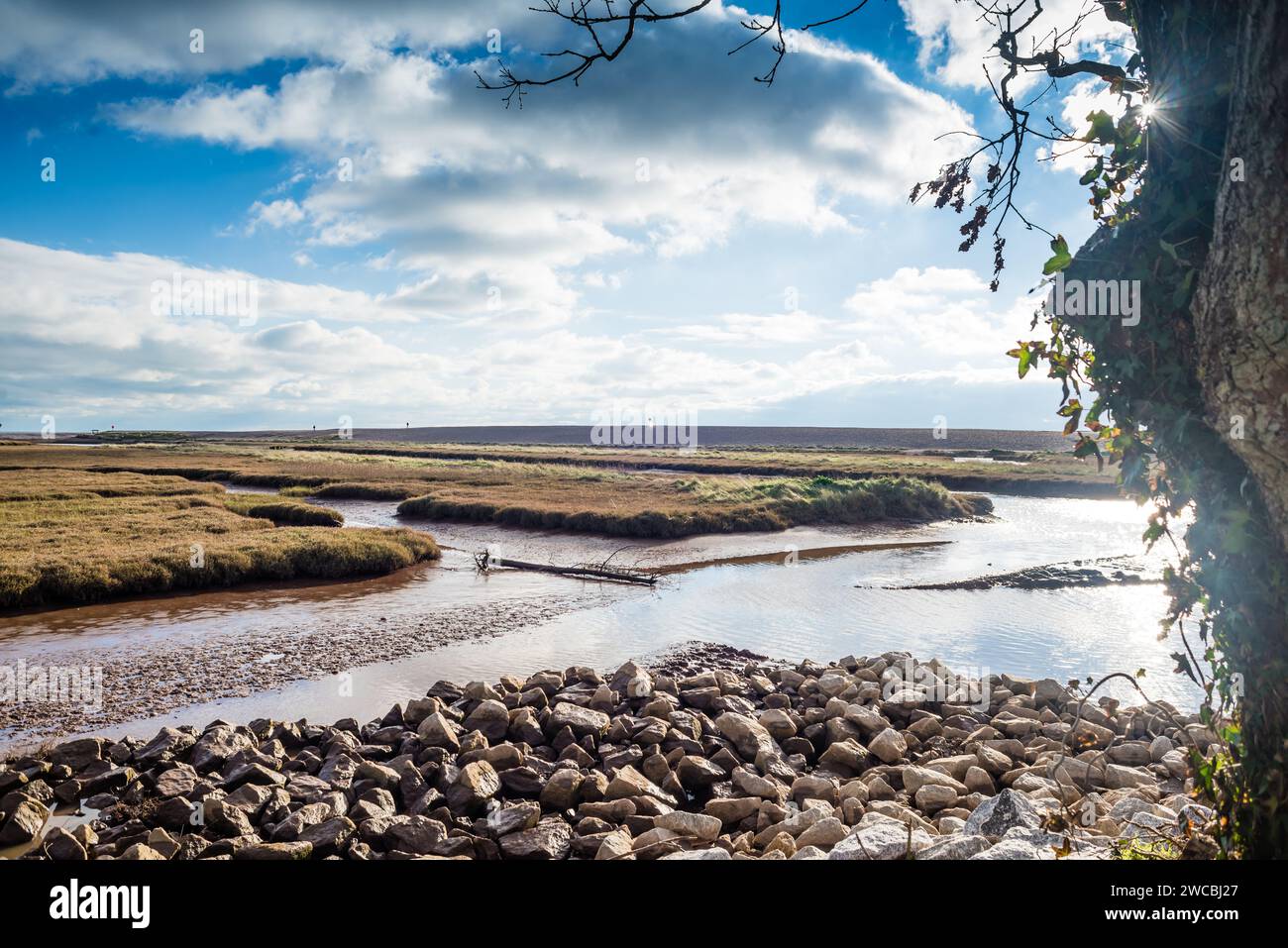 lower Otter River Restoration Project. Otter Head Stock Photo - Alamy