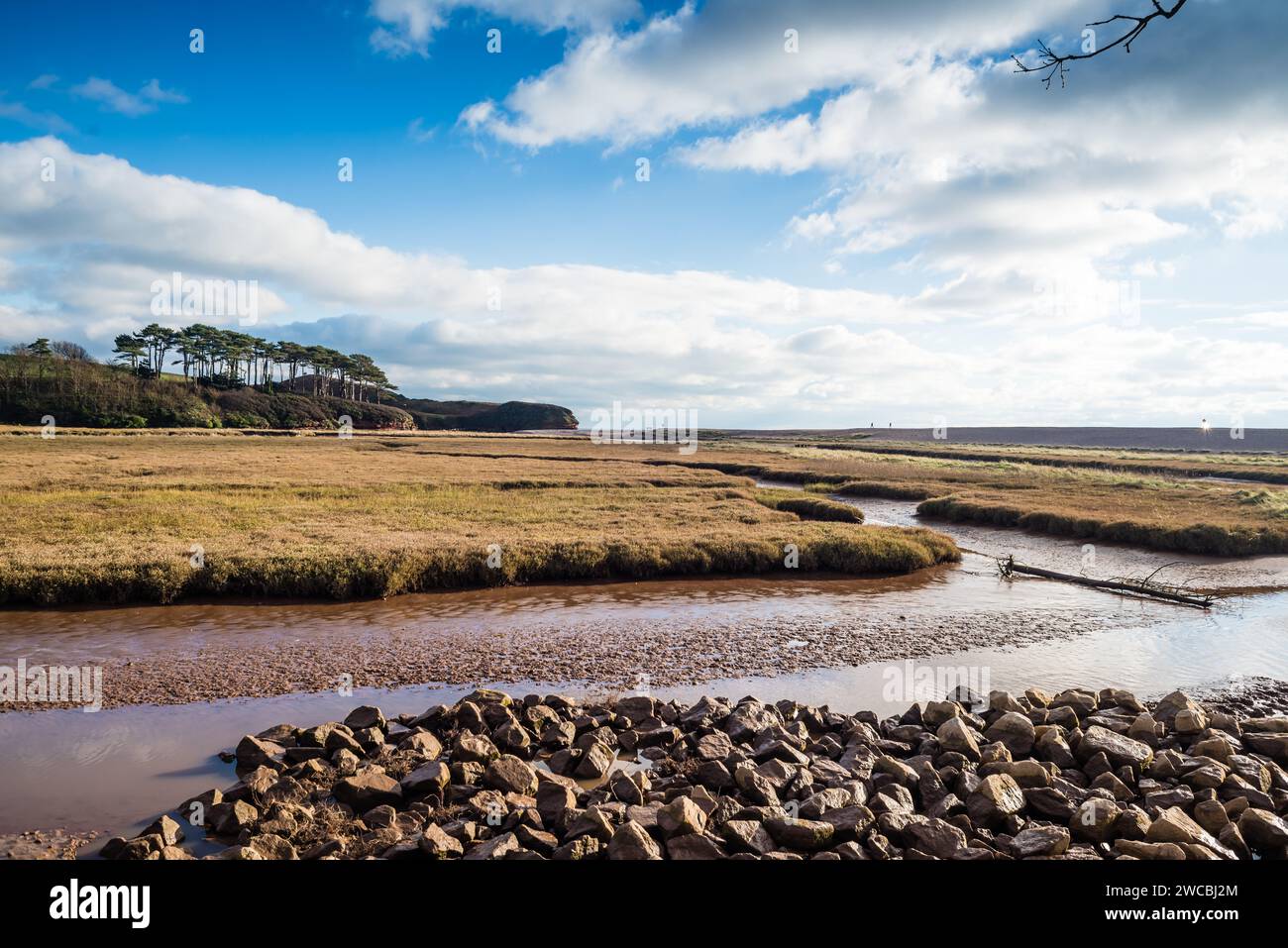 lower Otter River Restoration Project. Otter Head Stock Photo - Alamy