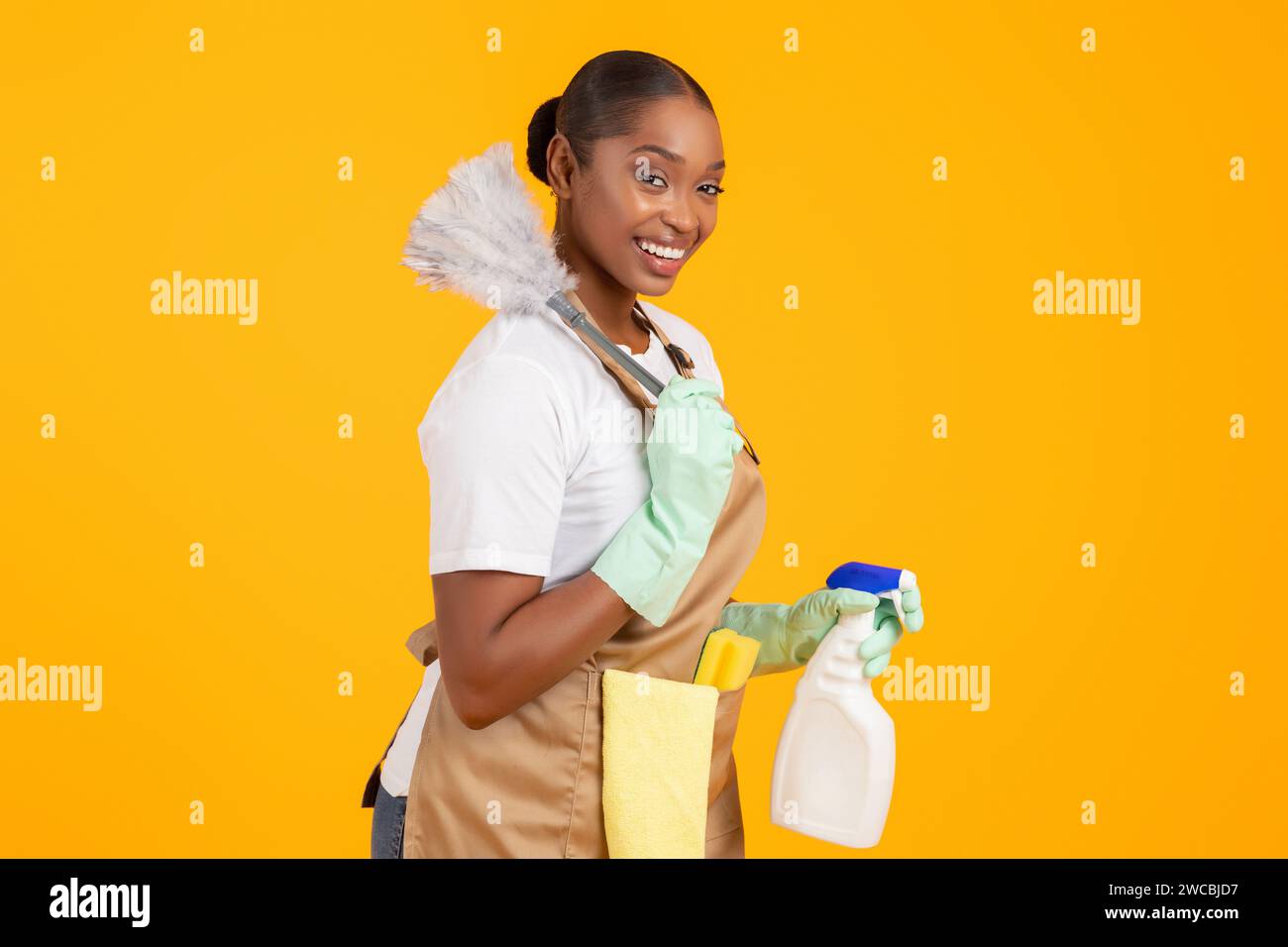 professional black cleaner lady holding feather duster and spray ...