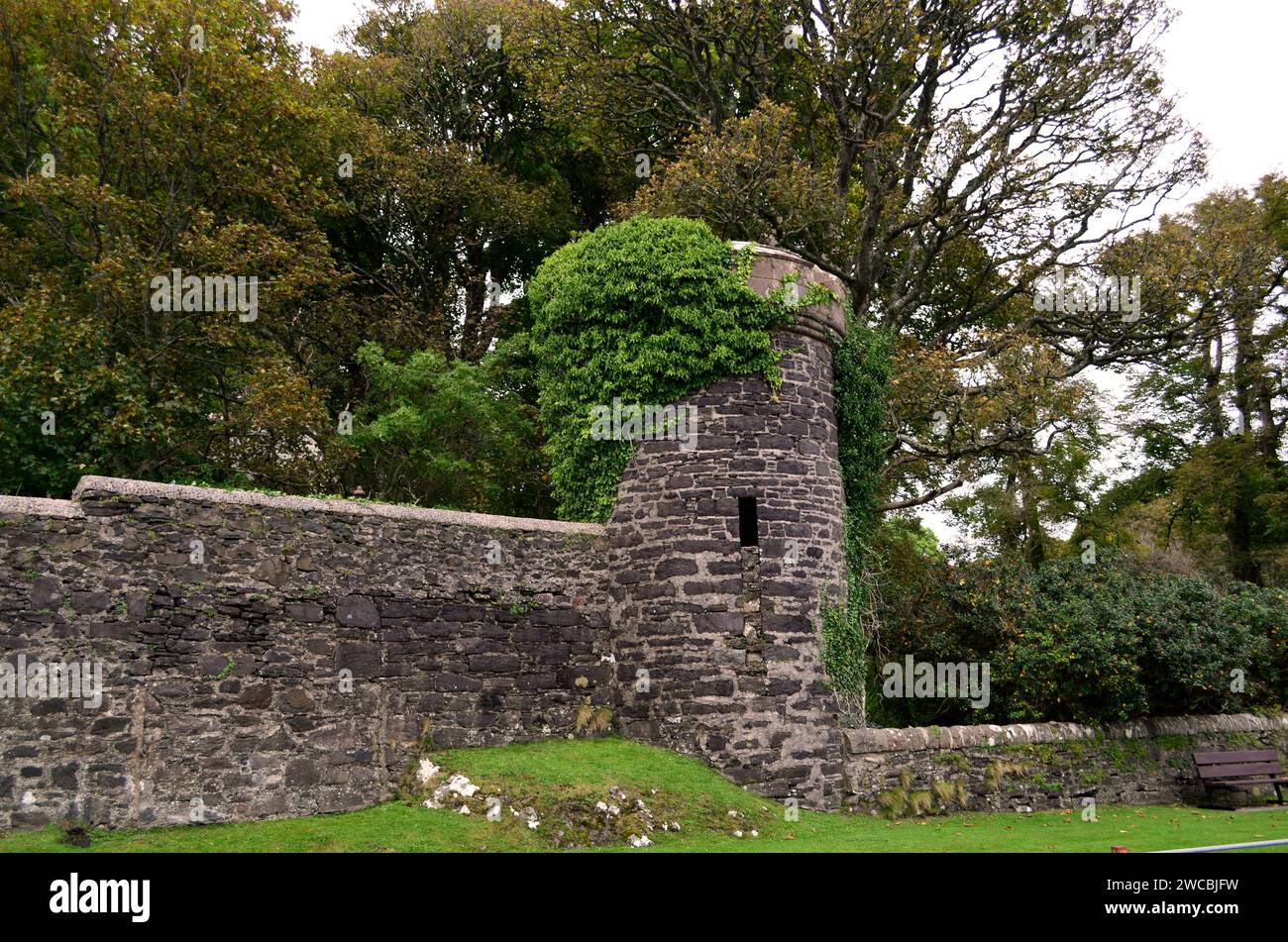 Dunollie castle ruins with lots of foliage on it Stock Photo - Alamy
