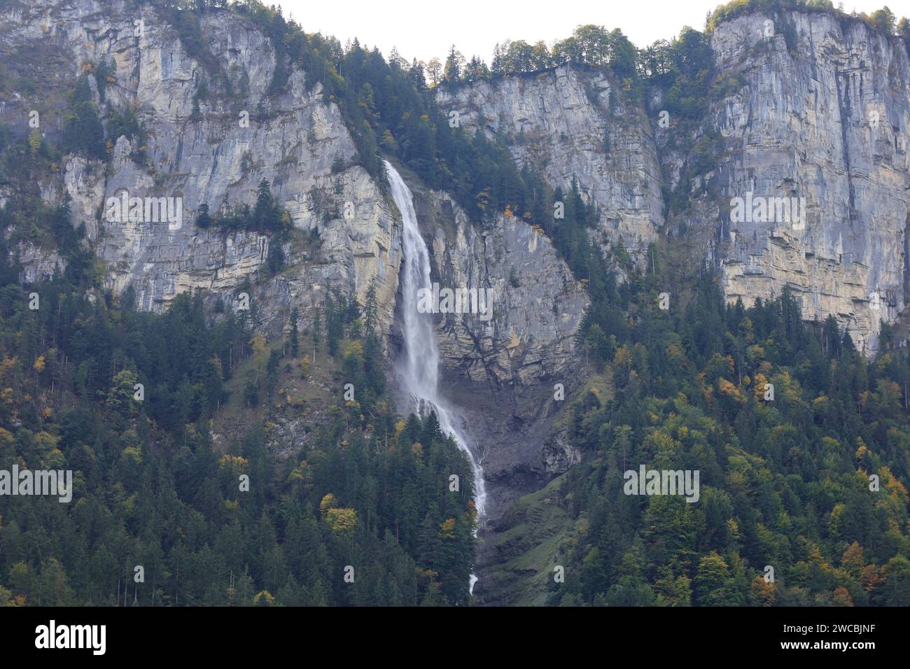The Reichenbach Falls are a waterfall cascade of seven steps on the ...