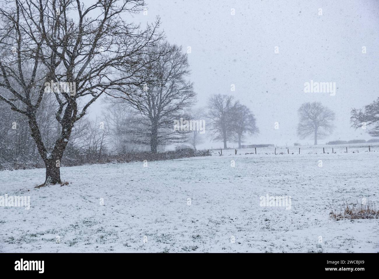 Landschaft im Schnee in Aachen am 15. Januar 2024. GERMANY - AACHEN ...