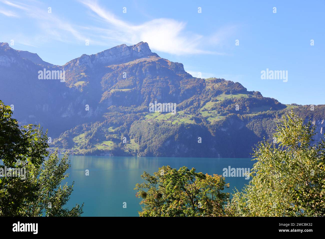 Lake Uri is part of the Lake Lucerne of Uri and Schwyz Stock Photo - Alamy