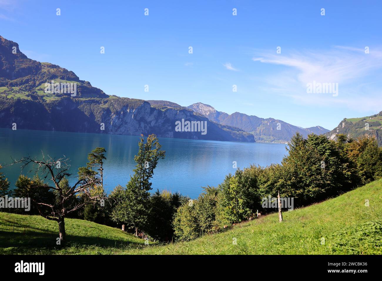 Lake Uri is part of the Lake Lucerne of Uri and Schwyz Stock Photo - Alamy