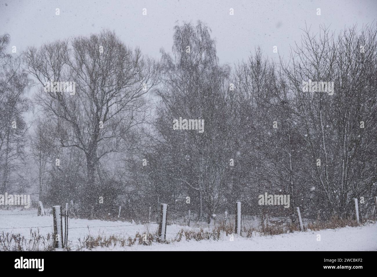 15 januar 2024 hi-res stock photography and images - Alamy