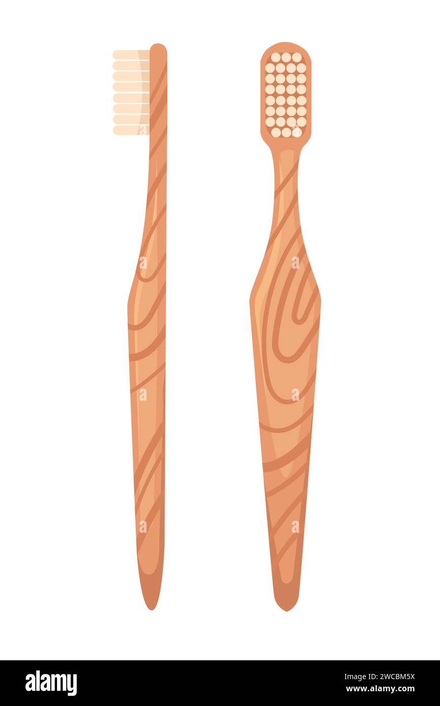 Toothbrush with wooden handle vector illustration isolated on white ...