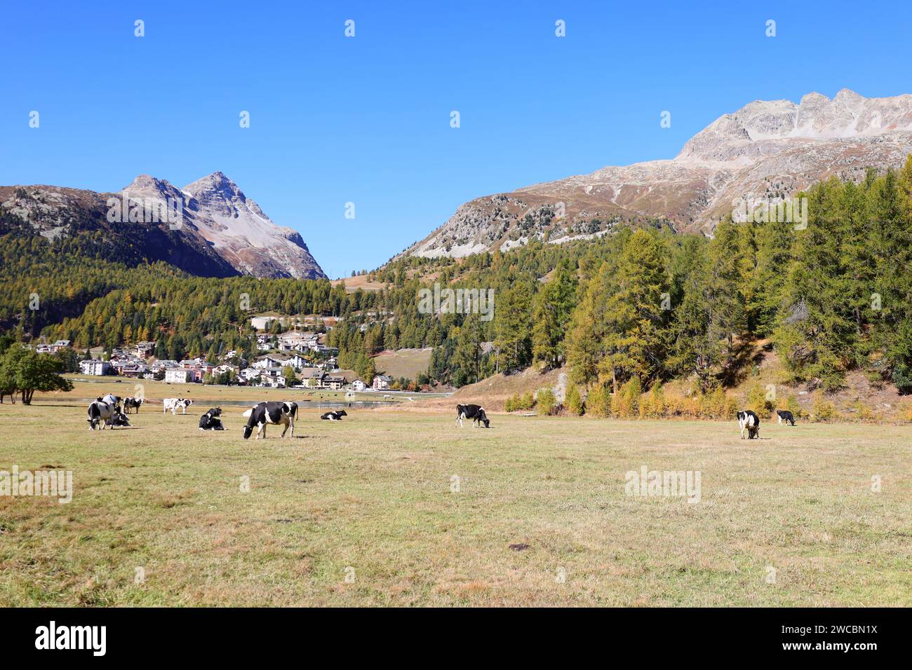 The Engadin is a long high Alpine valley region in the eastern Swiss ...