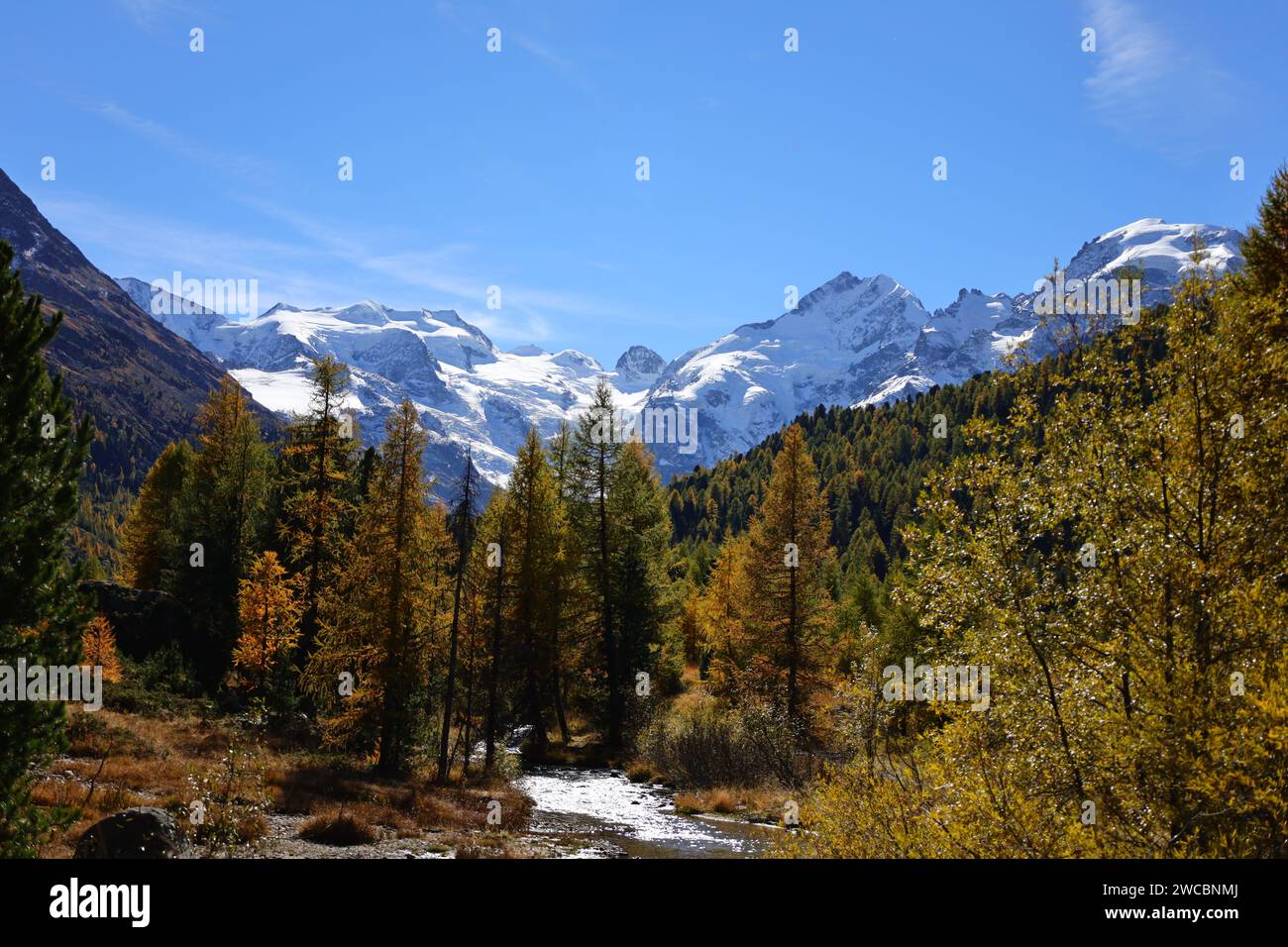 The Morteratsch Glacier is the largest glacier by area in the Bernina ...
