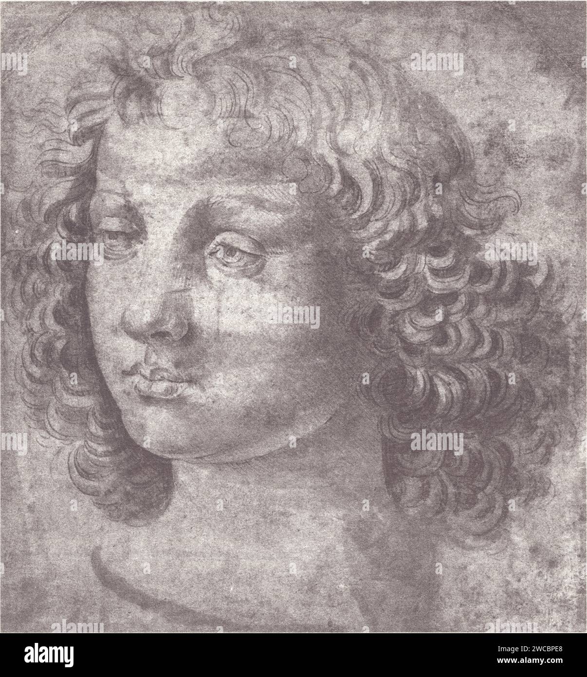 PEN AND INK PORTRAIT OF A YOUNG MAN. FROM THE STUDIO OF VERROCCHIO ...