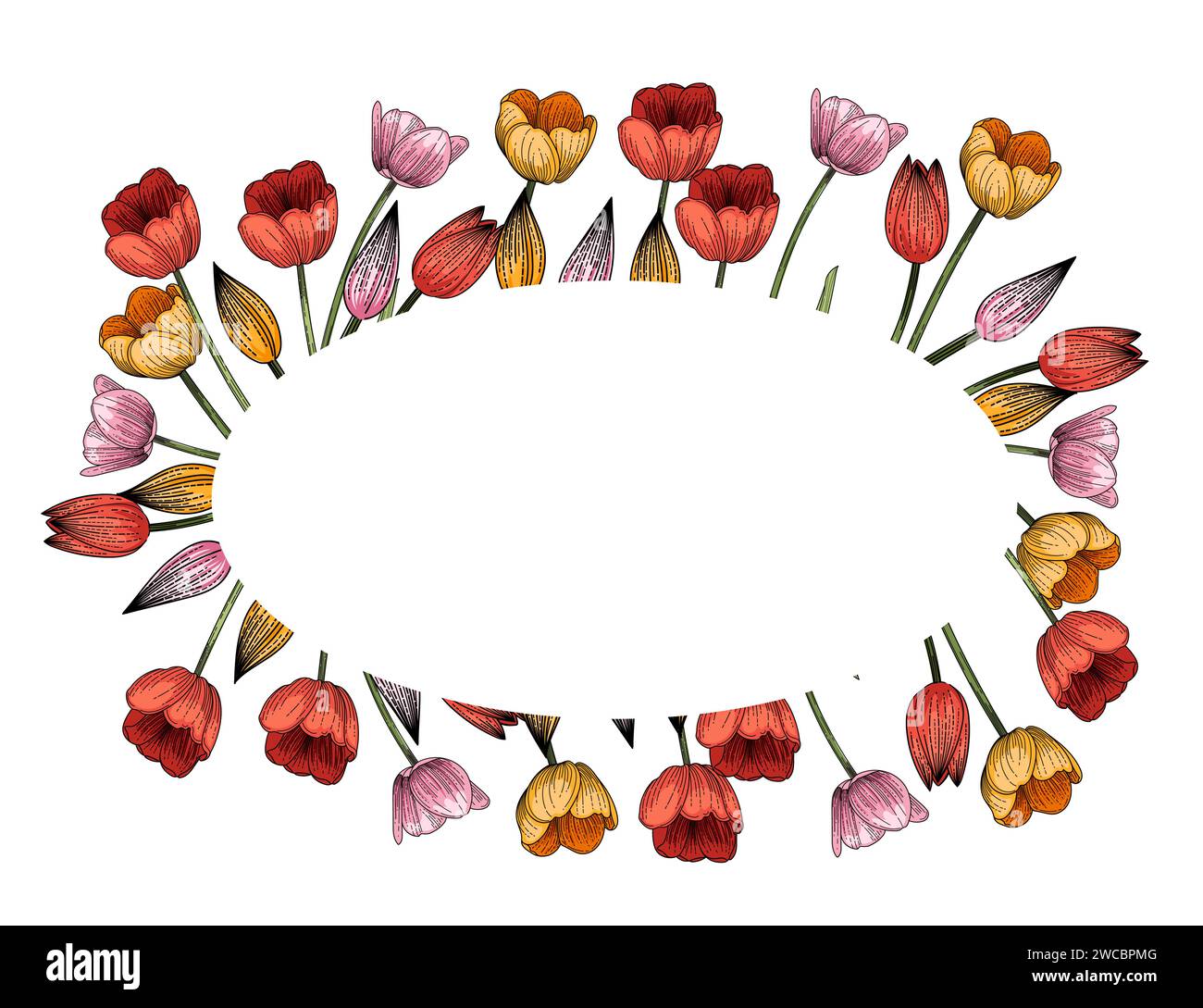Set of three tulips flower hand drawn colorful sketch for drawing book ...