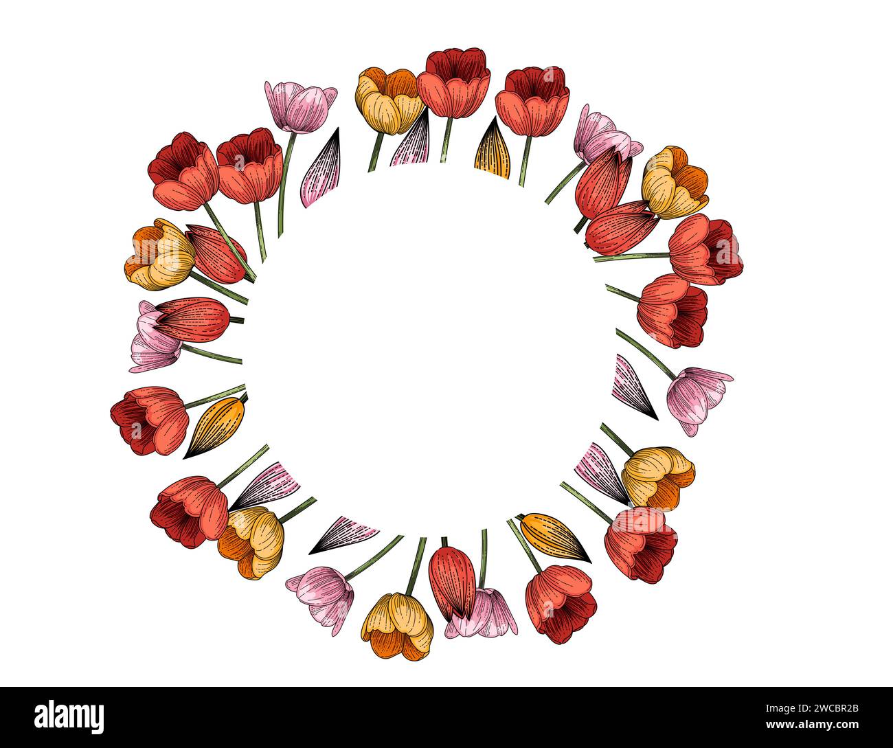 Set of three tulips flower hand drawn colorful sketch for drawing book ...