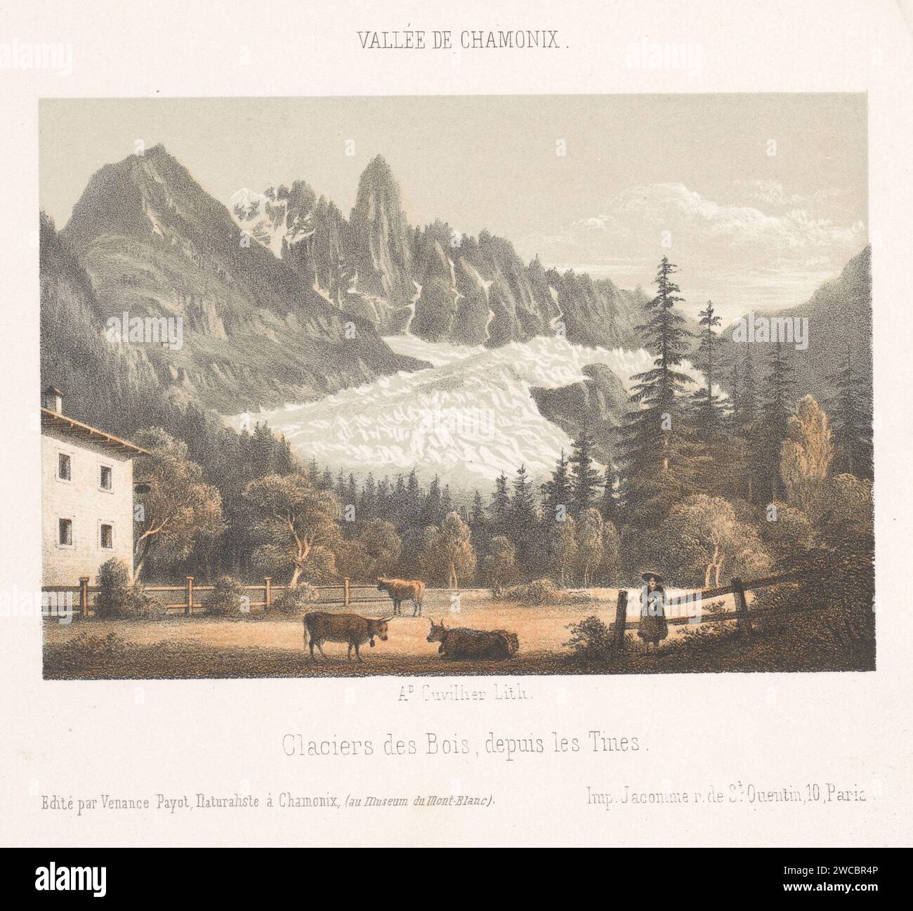 View of Chamonix and Mont Blanc from the north, Ad. Cuvillier, 1858 ...