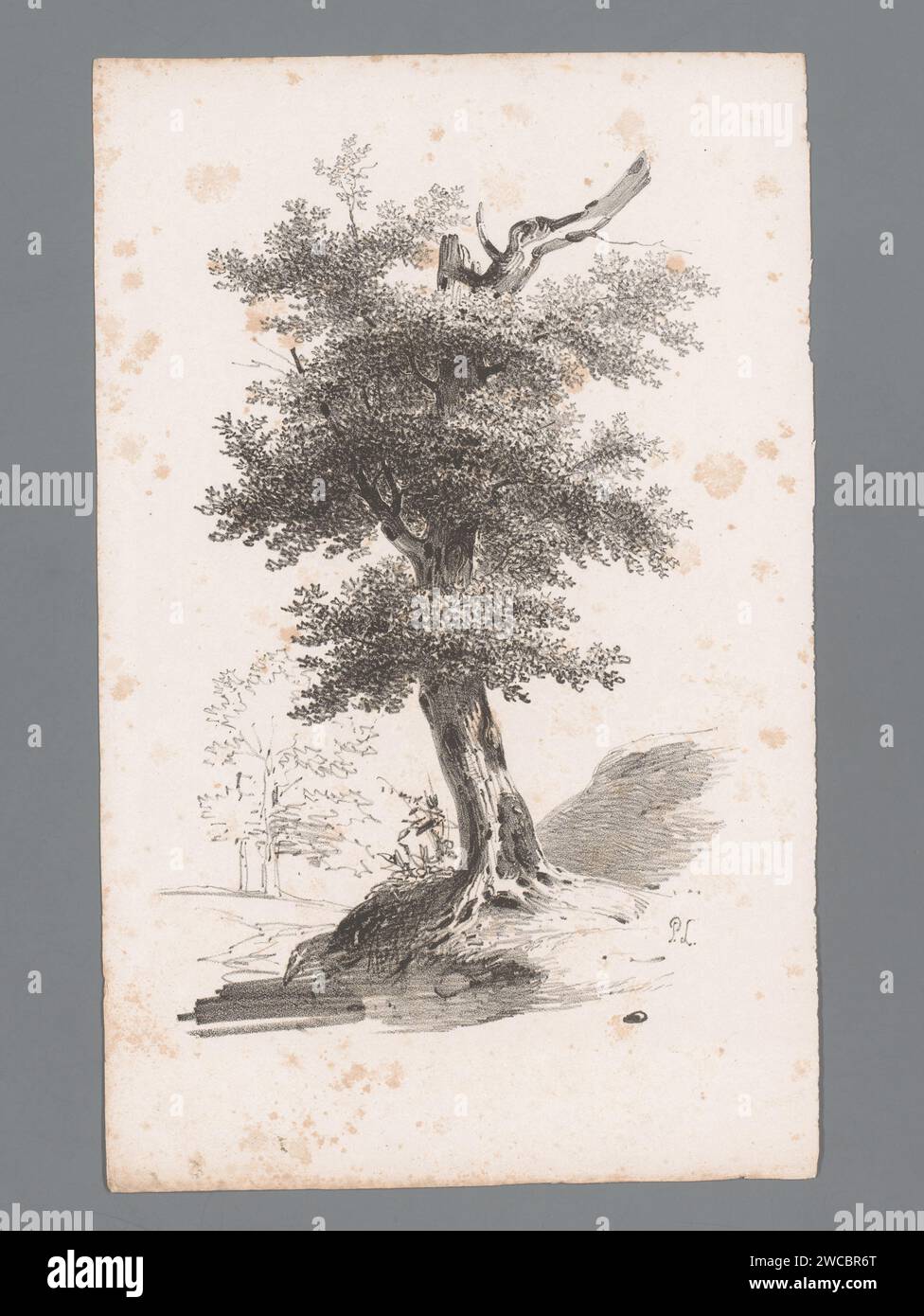 Landscape with Boom, Paulus Lauters, 1839 print Brussels paper ...