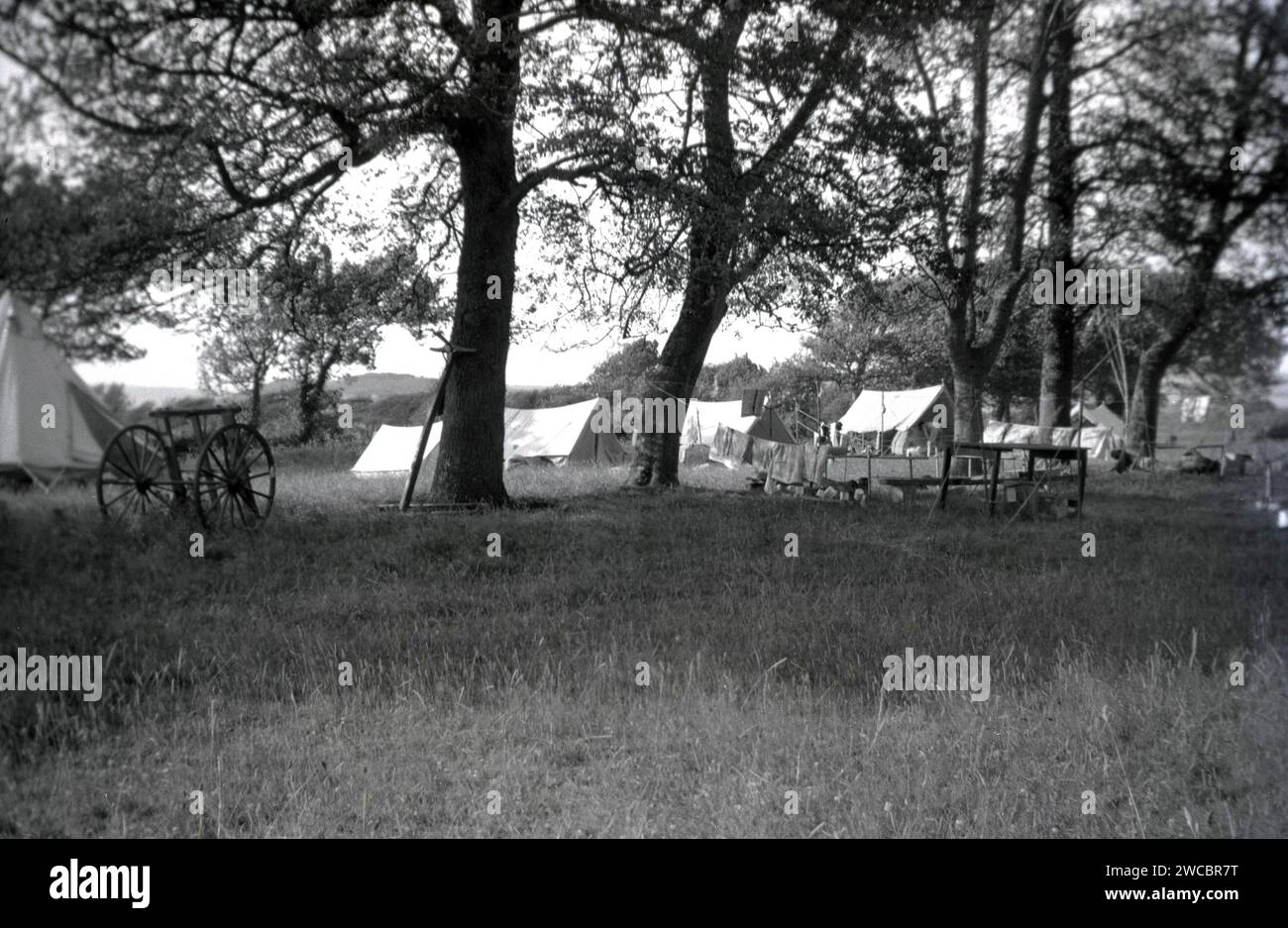 1938, historical, a view of tents at a scout camp at Atherfield Farm ...