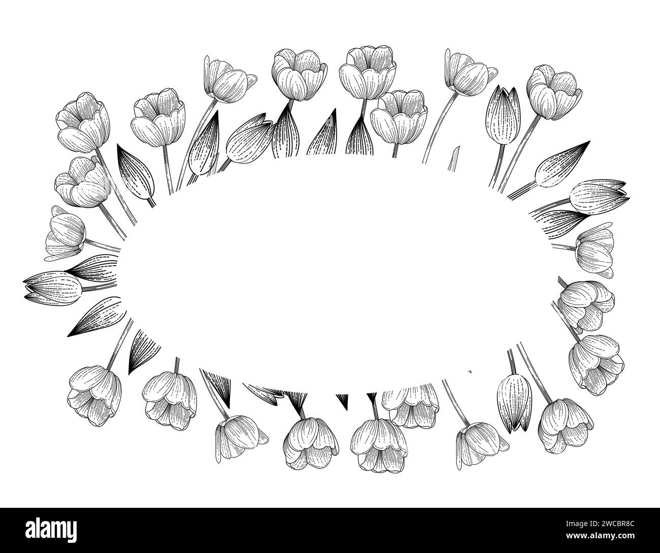 Set of three tulips flower hand drawn sketch for drawing book vector ...