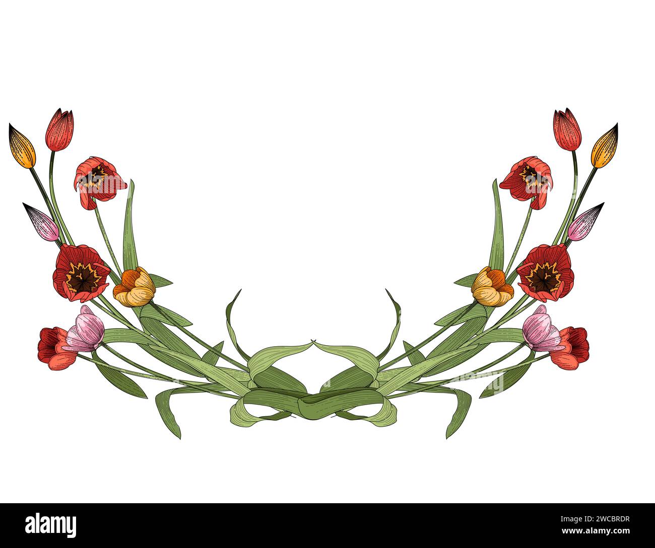 Set of three tulips flower hand drawn colorful sketch for drawing book ...