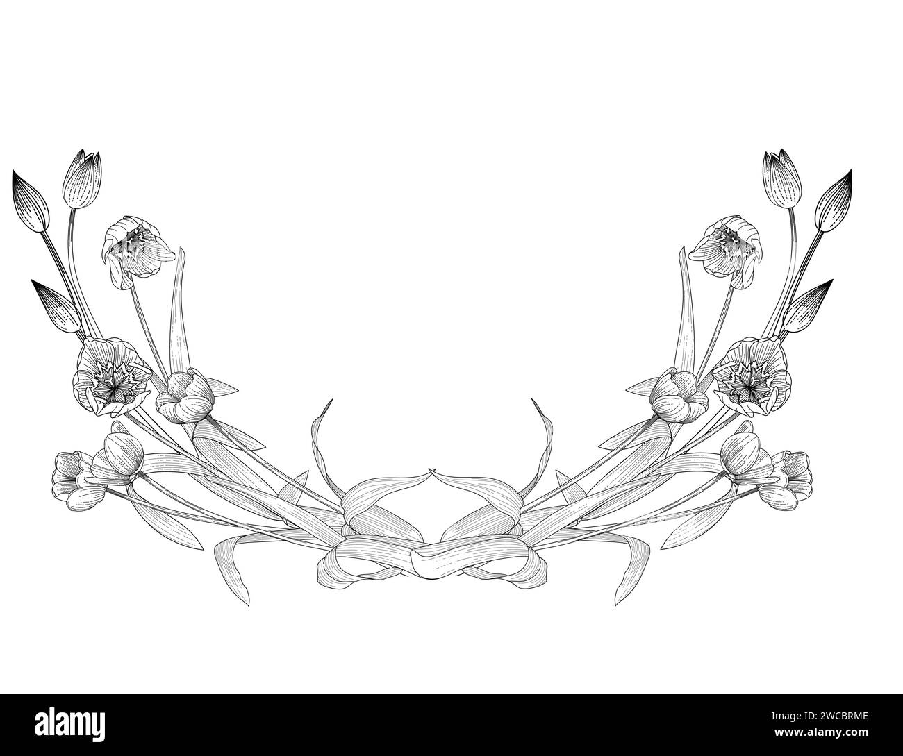 Set of three tulips flower hand drawn sketch for drawing book vector ...