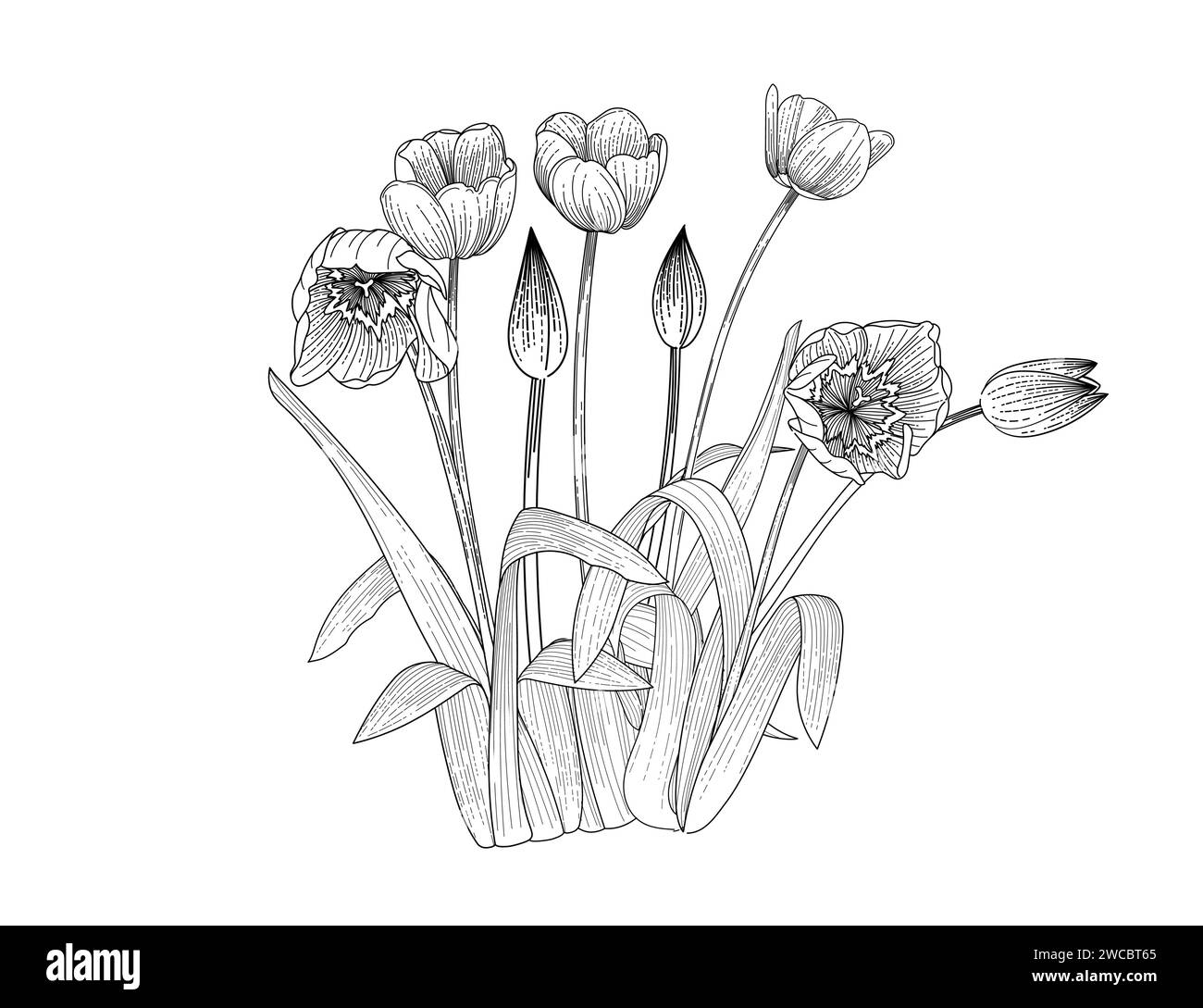 Set of three tulips flower hand drawn sketch for drawing book vector ...