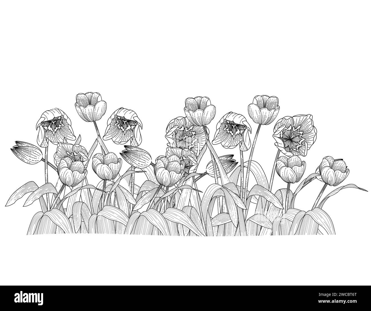 Set of three tulips flower hand drawn sketch for drawing book vector ...