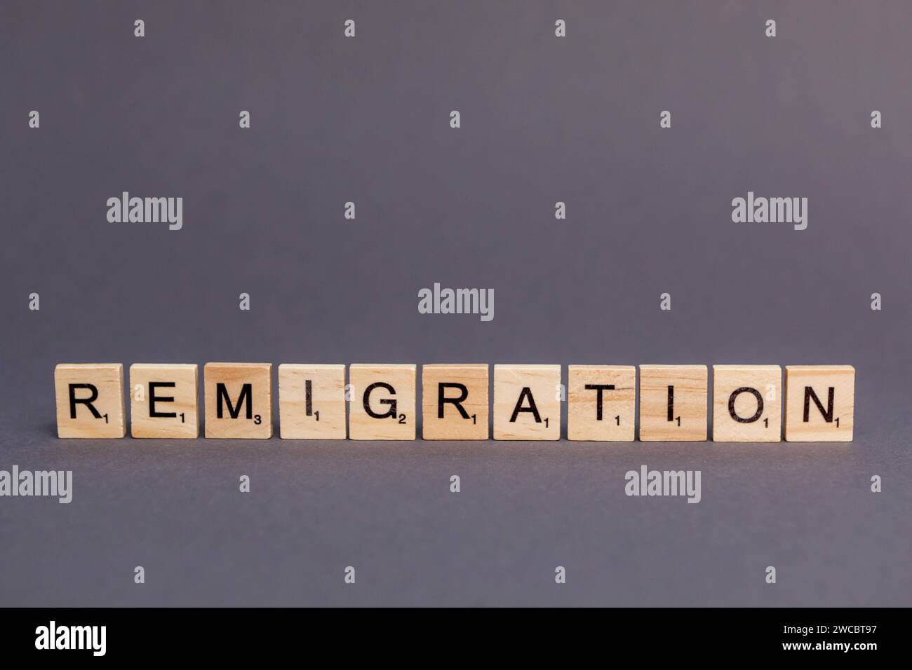 Remigration - Unwort des Jahres DEU/Deutschland/Illustration, 15.01. ...