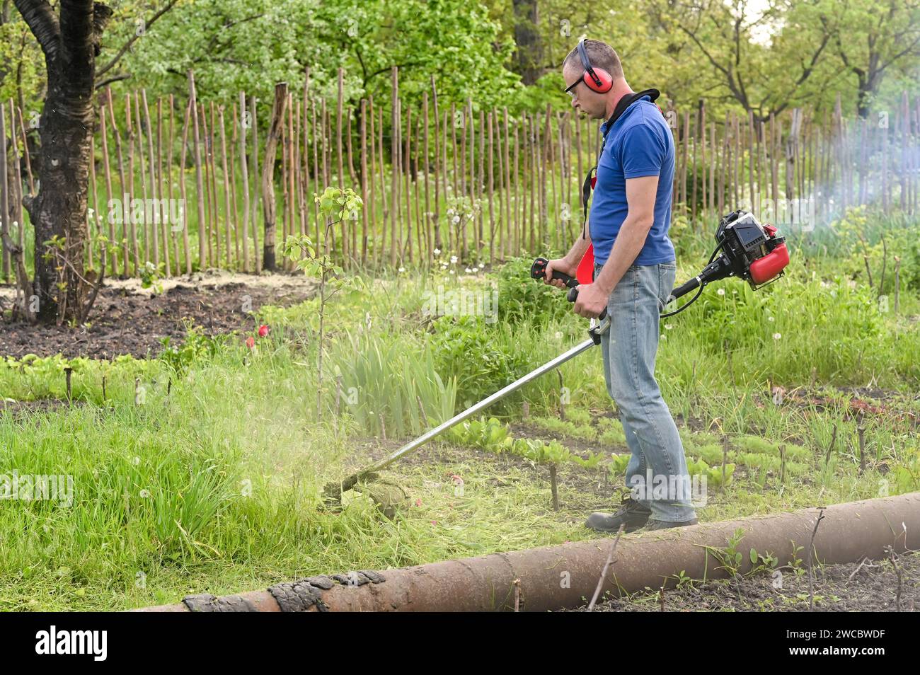 Process of lawn trimming with hand mower Stock Photo - Alamy
