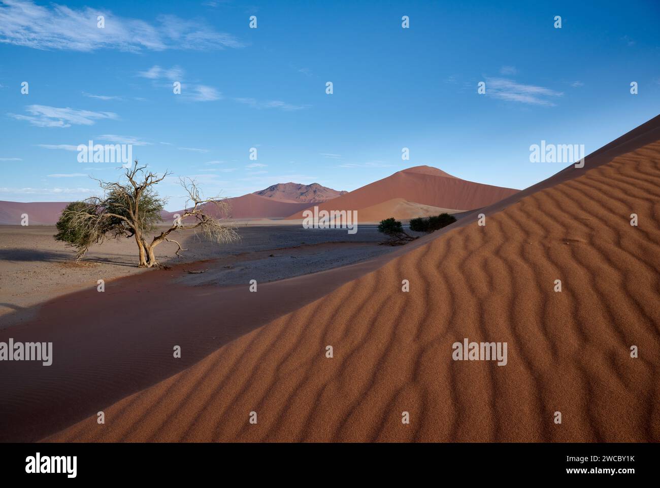 strong blowing wind over sand dunes of Namib desert, Namibia, Africa ...