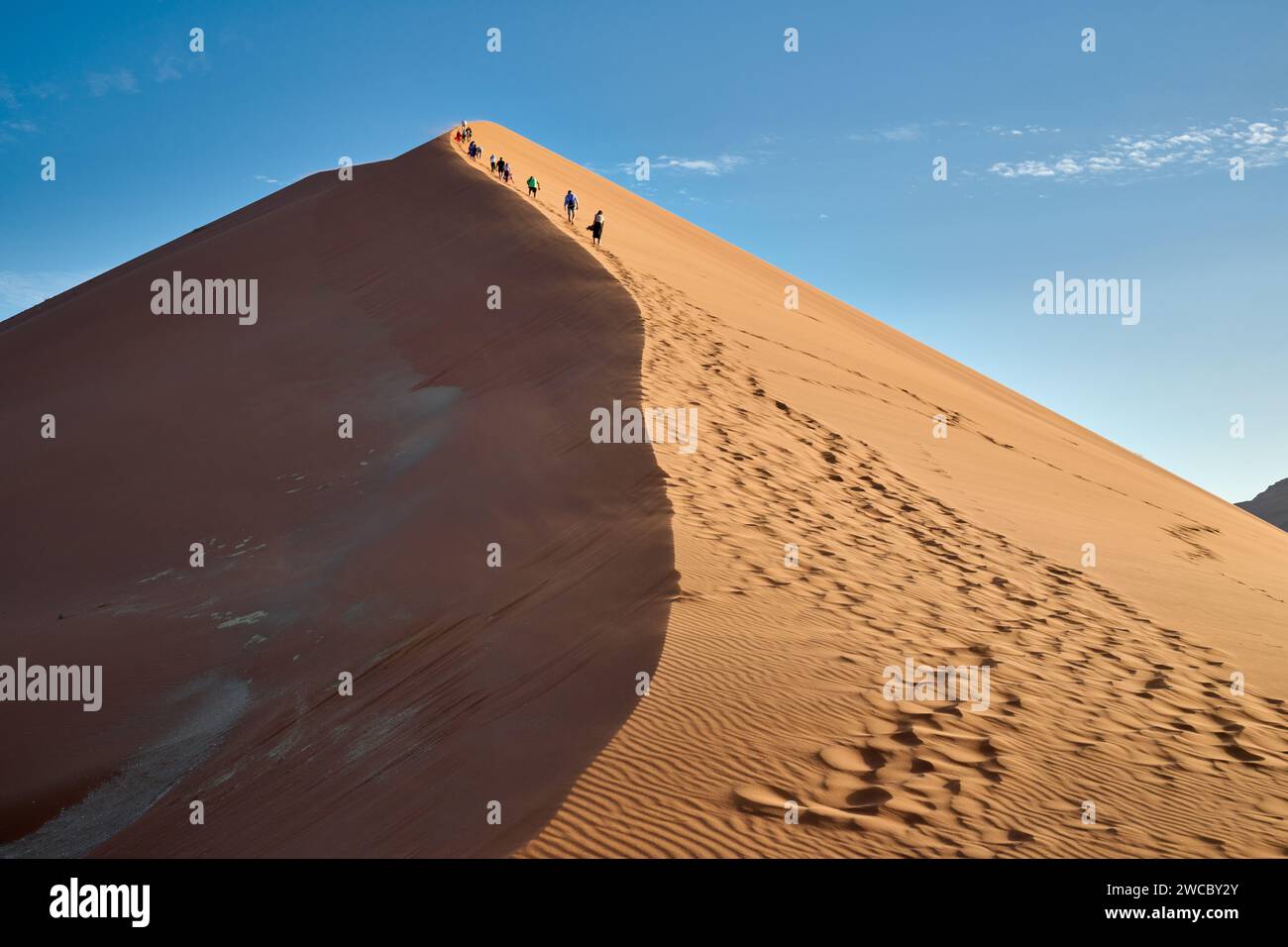 group of Tourists climbing up sand dune of Namib desert under strong ...