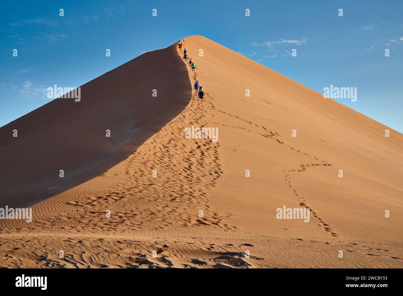 group of Tourists climbing up sand dune of Namib desert under strong ...