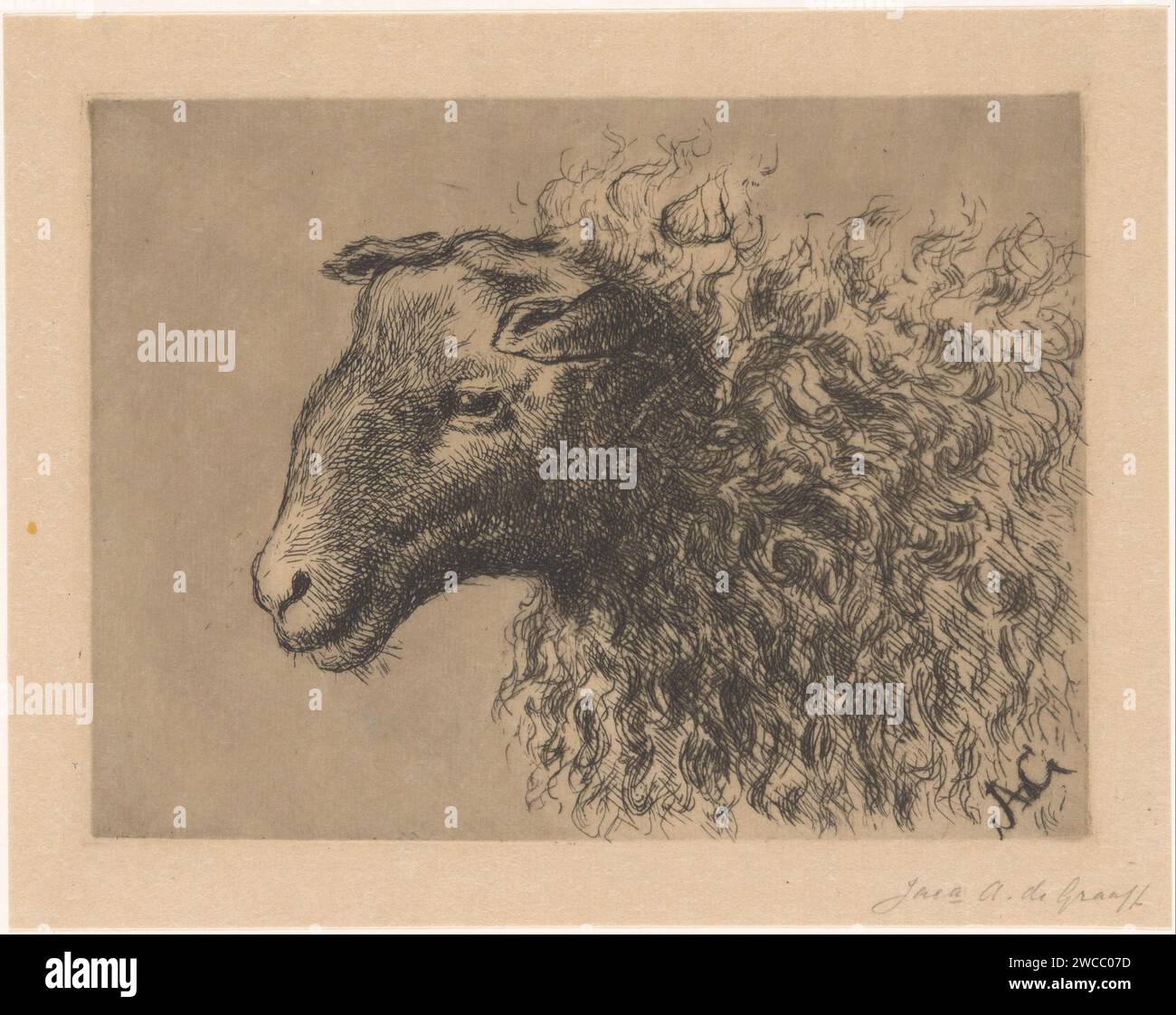 Jacoba de graaff hi-res stock photography and images - Alamy