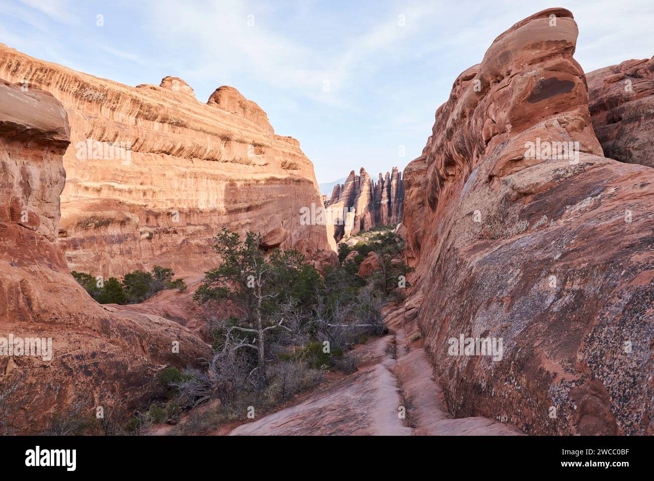 Primitive states hi-res stock photography and images - Alamy