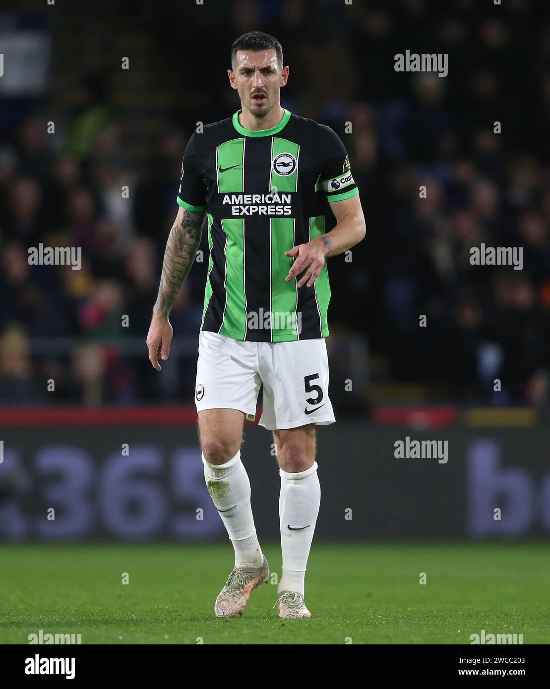 Lewis Dunk of Brighton & Hove Albion. - Crystal Palace v Brighton ...