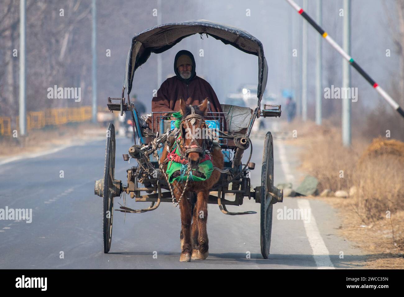 Tonga horse cart hi-res stock photography and images - Alamy