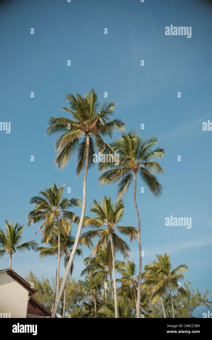 Sunny sunshine breezy hi-res stock photography and images - Alamy