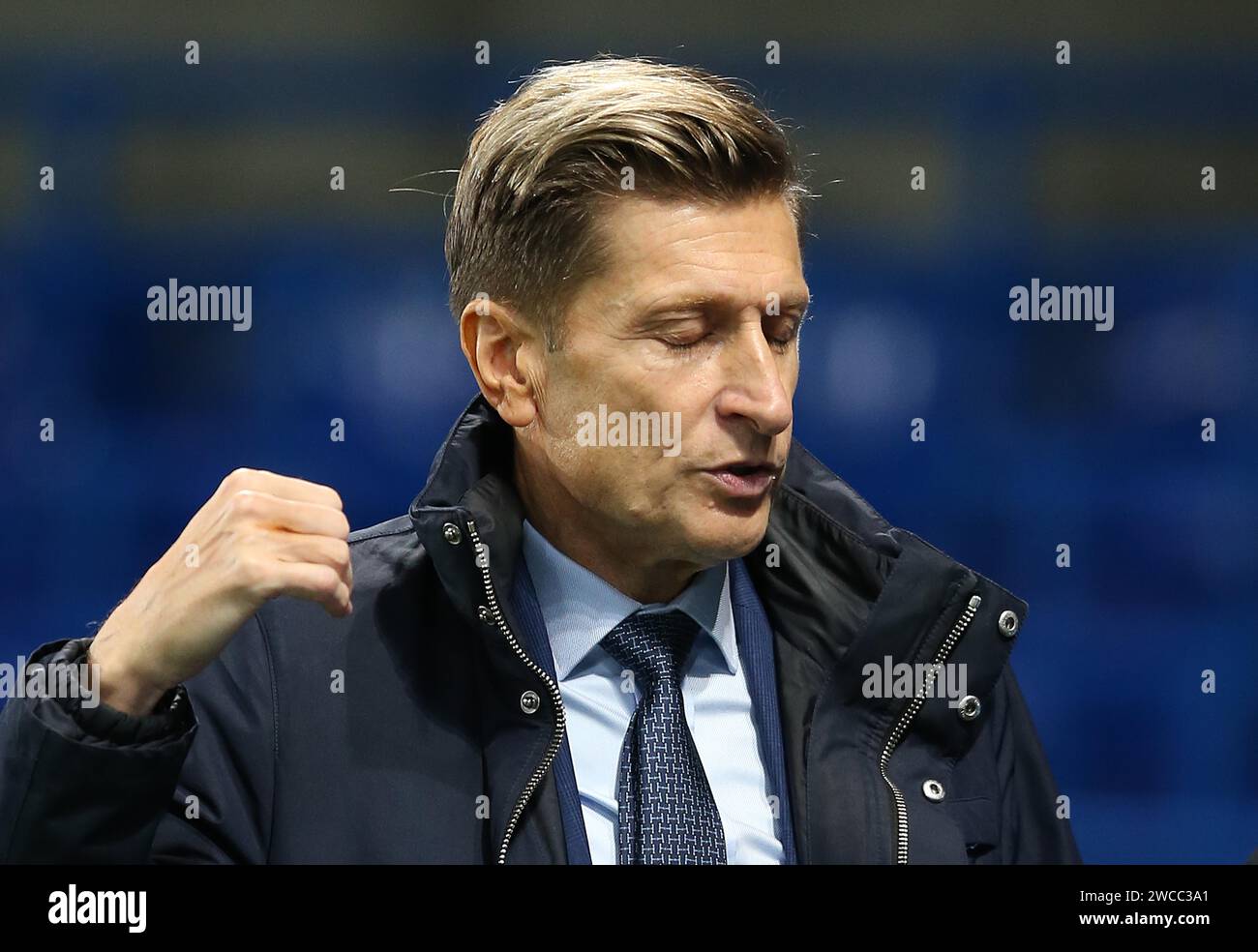 Crystal Palace Co Owner & Chairman, Steve Parish. - Chelsea v Crystal ...