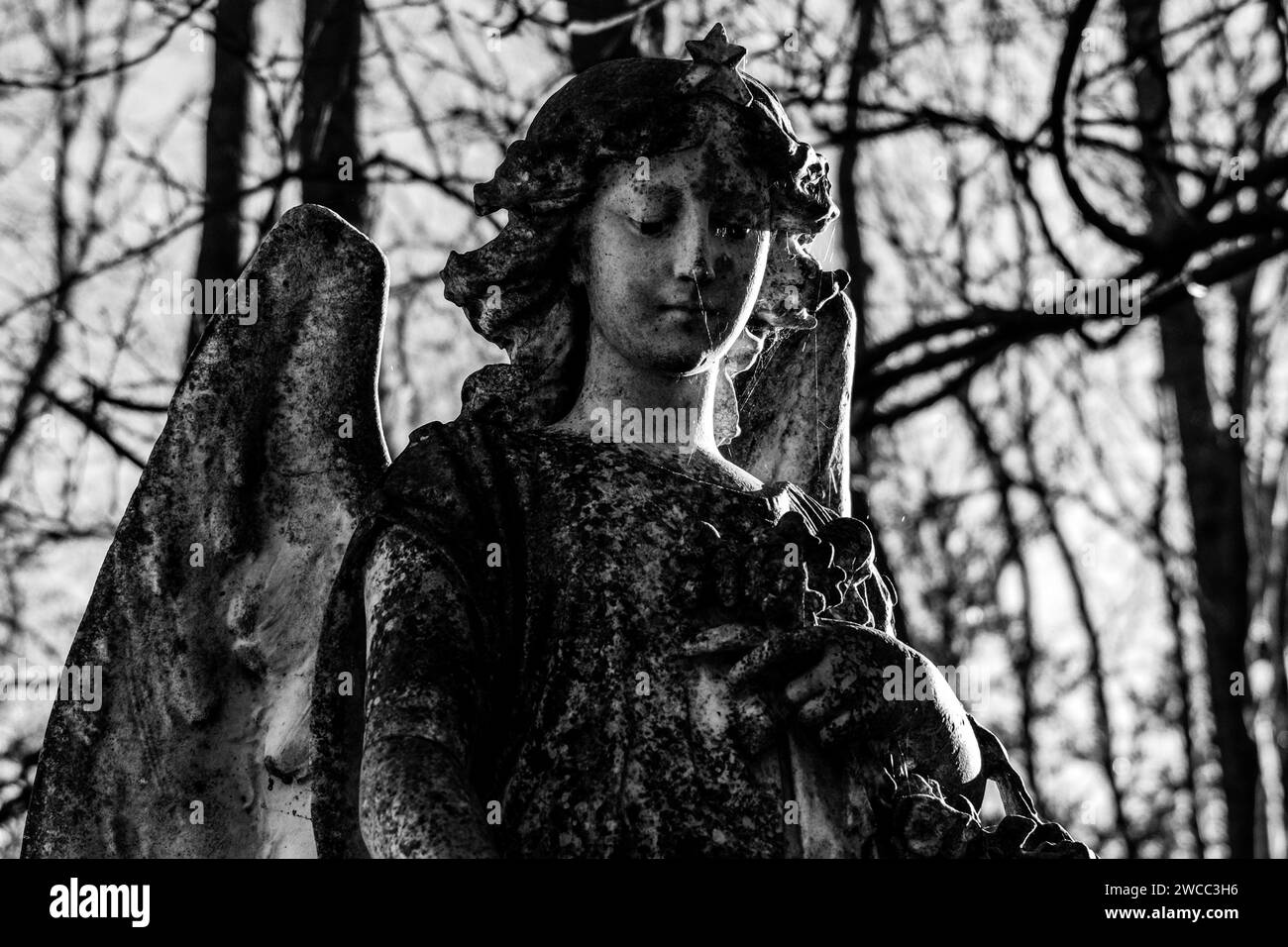Highgate monument Black and White Stock Photos & Images - Alamy