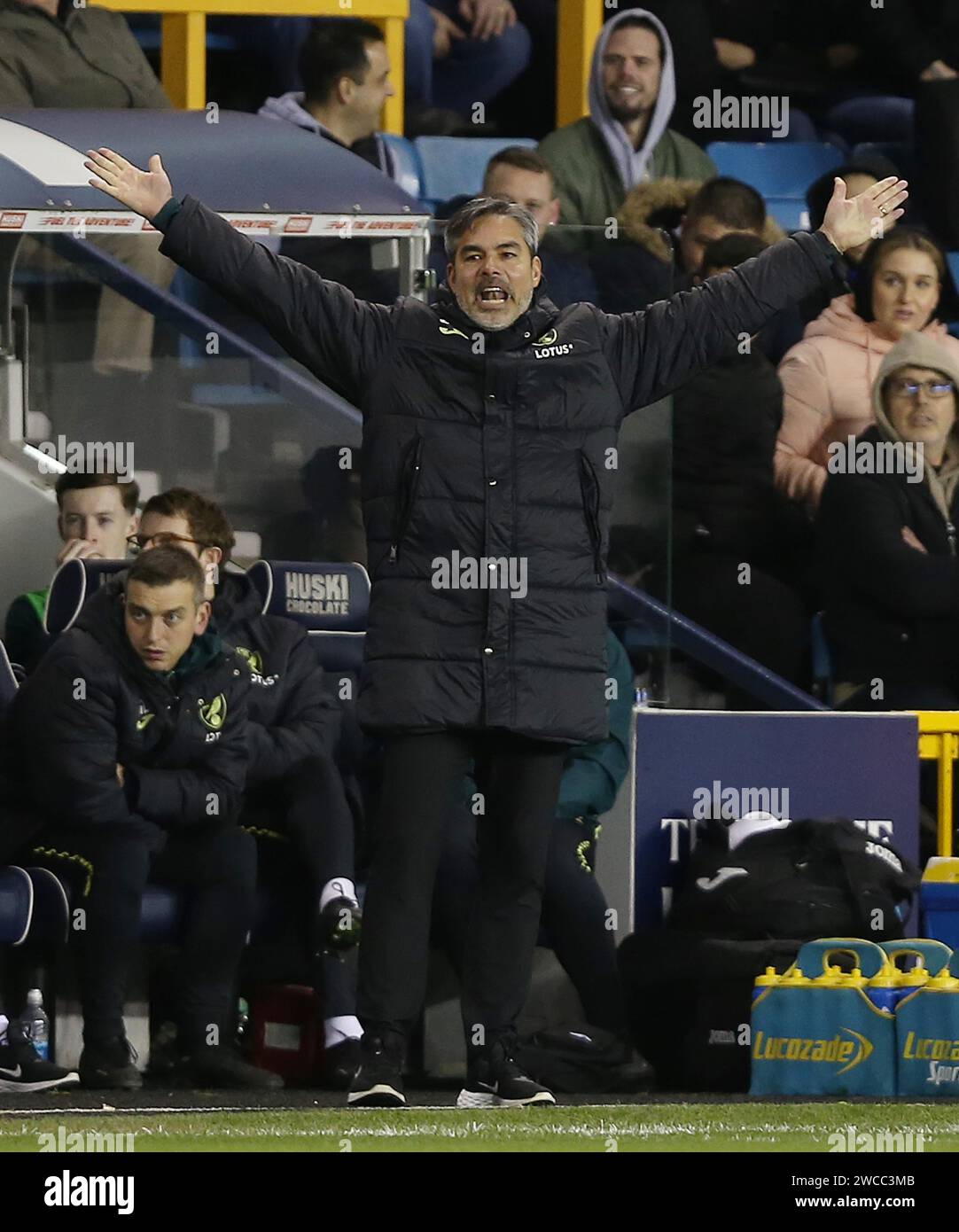David Wagner Manager of Norwich City looks frustrated & annoyed ...